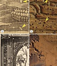 The Science of Woodblock Illustrations | Digital Humanities @ Oxford